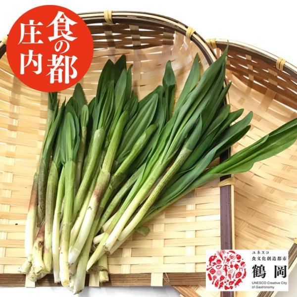 日本一の美食県・美酒県「山形」豊かな自然と生産者の情熱、こだわりの技術により育まれた山形のうまいもの。一足早く促成栽培でつくった行者ニンニクを食べてみませんか？内容山菜行者ニンニク50ｇ注意事項配達日の指定は、できません。他の商品とは別送り...