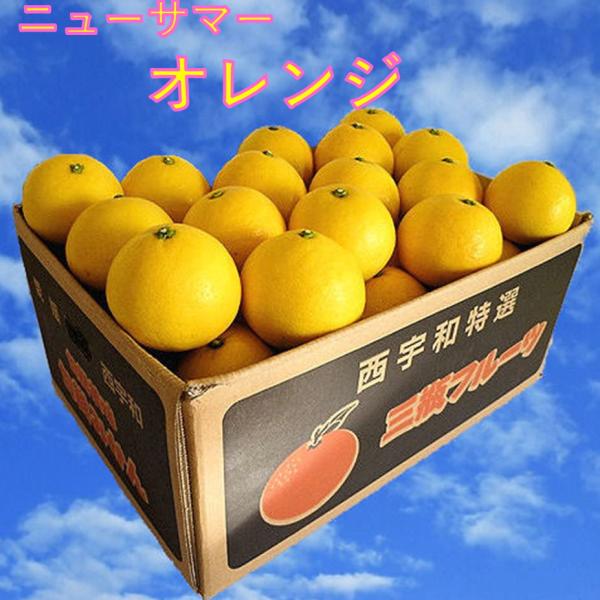 愛媛みかんを農園直送で！【商品のご紹介】■商品名　ニューサマーオレンジ 　家庭用　４．５kg　■生産地　愛媛県西予市■内容量　４．５ｋｇ■賞味期限　到着後１０日を目安にお召し上がりください！■保存方法　常温で日蔭の涼しい場所で保存してくださ...