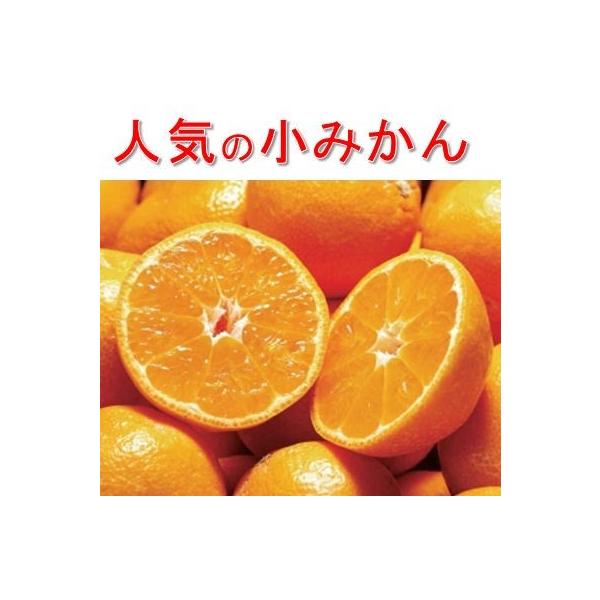 愛媛みかん 小玉みかんを農園直送で！【商品のご紹介】■商品名　人気の小みかん！／愛媛産／５ｋｇ（S〜SSサイズ）（65〜80個）■生産地　愛媛県西予市■内容量　５ｋｇ（65〜80個）■賞味期限　到着後１０日を目安にお召し上がりください！■保...