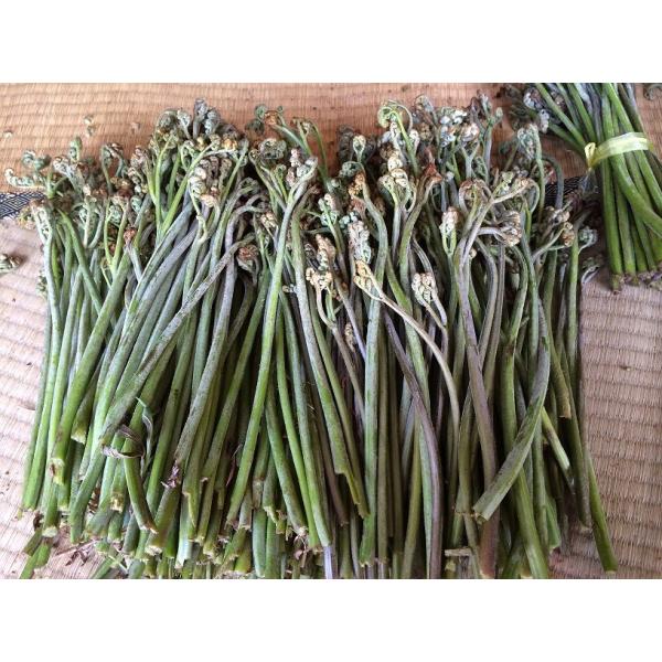 当店でお買い上げいただいきましたワラビを熟練の技であく抜きをいたします。採取後すぐにあく抜きをいたしますので根本まで柔らかいワラビが味わえます。1kgまでこちらの料金にてあく抜きができますので、お買い上げいただきましたワラビの量に合わせてあ...