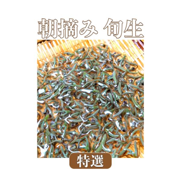 涼を感じる涼しげな色合いやゼリー状のぬめりは生ならではの驚きです。生じゅんさいですので冷蔵便でお届けいたします。冷蔵庫で保管し５日以内でご賞味ください。