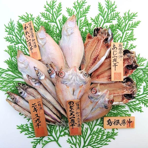 簡単に調理ができる干物を詰め合わせました。野外でのBBQにもおすすめです。早朝に出漁し、近海で捕れた魚をその日の夕方に水揚げする「一日漁」の鮮魚。鮮度と品質の良さは抜群、お刺身にしても極上の魚をあえて一夜干しにしました。保存料・着色料を使用...