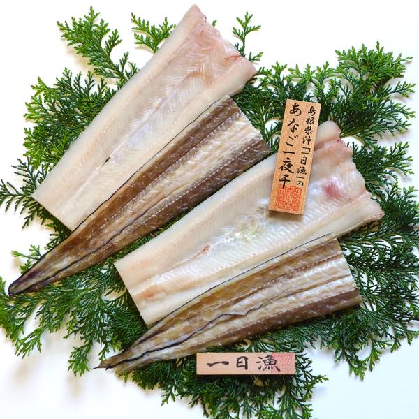 島根県の新鮮なあなごを一本まるまる一夜干しに仕上げました。早朝に出漁し、近海で捕れた魚をその日の夕方に水揚げする「一日漁」の鮮魚。鮮度と品質の良さは抜群、お刺身にしても極上の魚をあえて一夜干しにしました。保存料・着色料を使用せず、塩のみの無...