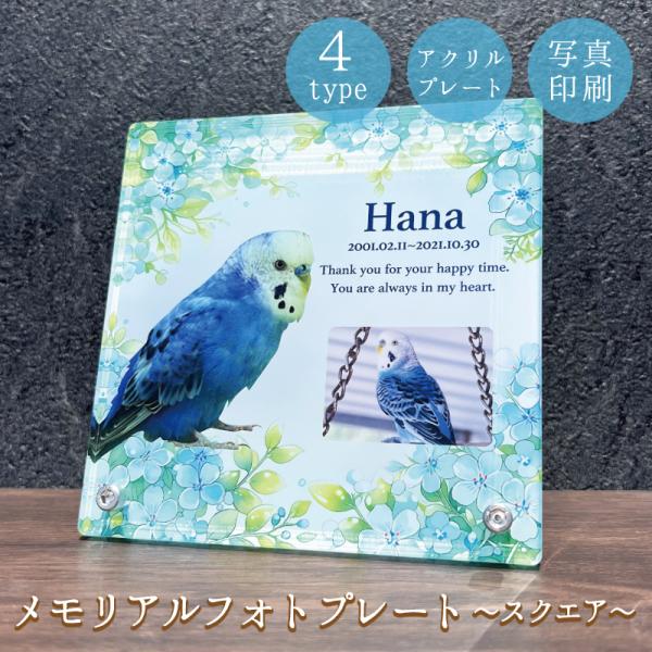 大切なあの子の記念日、思い出、教養、いつまでもそばに感じていられるようなメモリアルフォトプレートです。お気に入りのお写真・お名前・日付・メッセージが入れられる特別なフォトプレートになります。【デザイン】・コスモス・ネモフィラ・ヒマワリ・クロ...