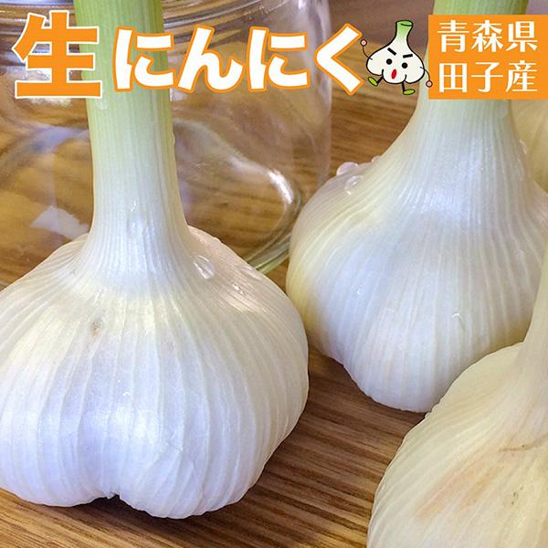 沢田ファームの農場で栽培されている「期間限定　新物　生にんにく」です。ニンニクの生産地と言えば青森県田子町。その畑から掘りたての生にんにくをお届けいたします。「生にんにく」は、畑で収穫した後すぐに箱詰めされ、土付きで鮮度を保ったまま出荷され...