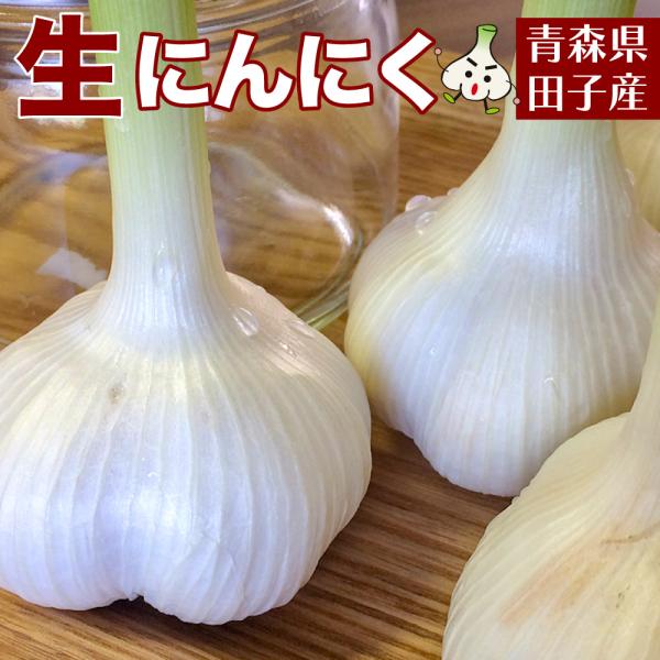 【発売日：2026年06月20日】沢田ファームの農場で栽培されている「期間限定　新物　生にんにく」です。ニンニクの生産地と言えば青森県田子町。その畑から掘りたての生にんにくをお届けいたします。「生にんにく」は、畑で収穫した後すぐに箱詰めされ...