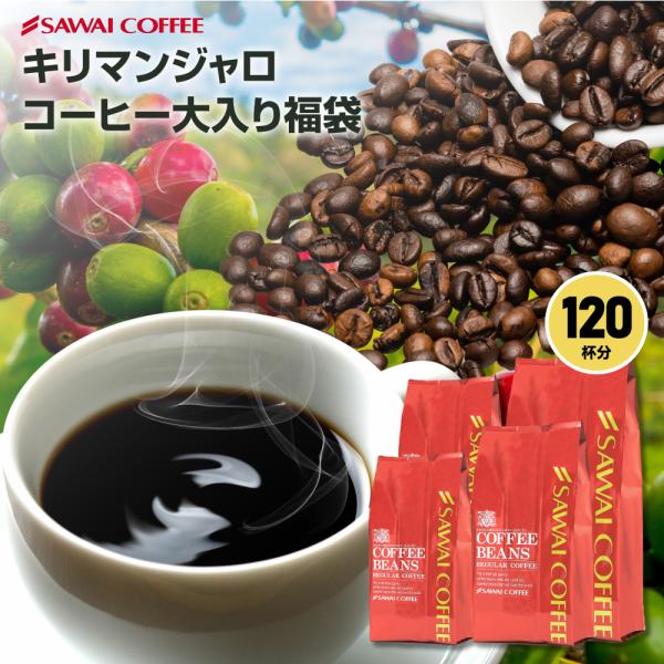 キリマンジャロコーヒー福袋 1.2kg レギュラーコーヒー豆 フルーティーな酸味と華やかな香りが特徴のコーヒーセットです。アフリカ高地産の豆を使用し、中深煎りと中強煎りの2種類をお楽しみいただけます。リフレッシュキリマンジャロは、タンザニア...