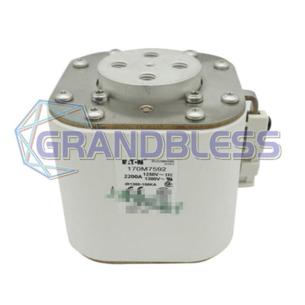 S Fit Bsmann Fe 170M7595 2500A 1250VS フィット Bsmann Fe 170M7595 2500A 1250V