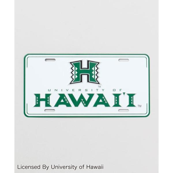 University of HAWAII（ハワイ大学）のロゴ入りナンバープレート。インテリアにオススメです！縦 15cm 横 30cm  ※メール便発送商品※