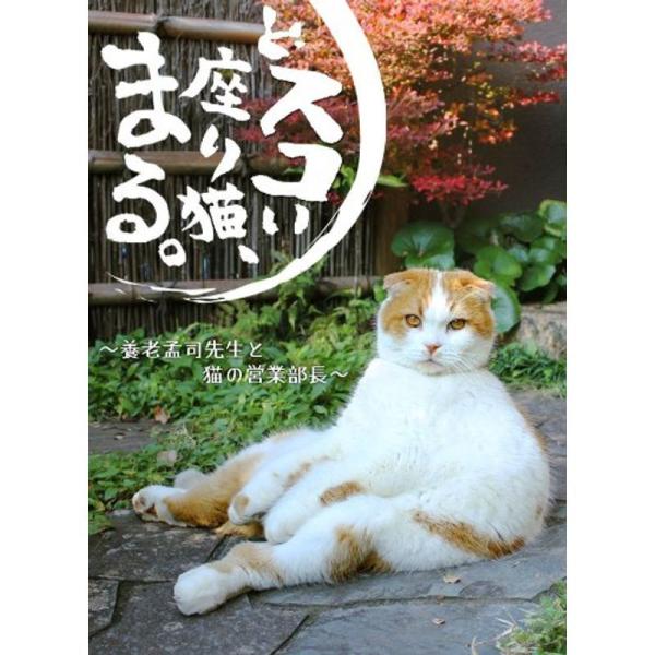 どスコい座り猫、まる。?養老孟司先生と猫の営業部長 DVD: 商品のタイトル【中古品】(中古品)＝使用済み中古品です。画像の商品はサンプル画像です。実際に届く商品と異なりますのでご了承下さいませ。※中古品のため、商品のコンディション、ケース...
