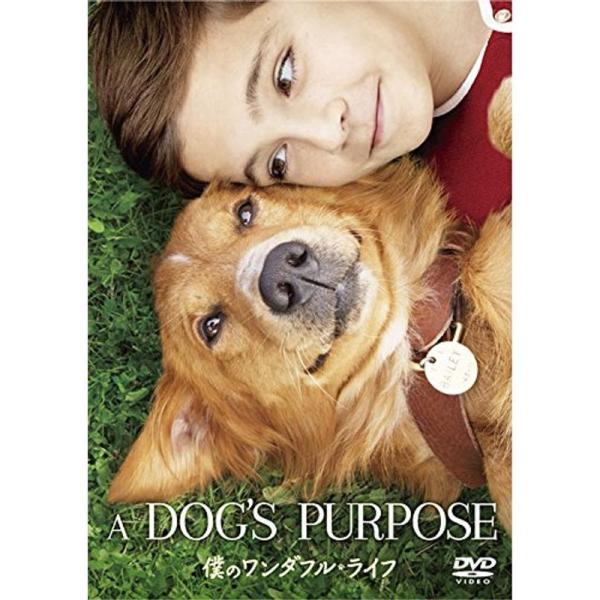 僕のワンダフル・ライフ DVD: 商品のタイトル【中古品】(中古品)＝使用済み中古品です。画像の商品はサンプル画像です。実際に届く商品と異なりますのでご了承下さいませ。※中古品のため、商品のコンディション、ケース、説明書等の付属品の有無につ...