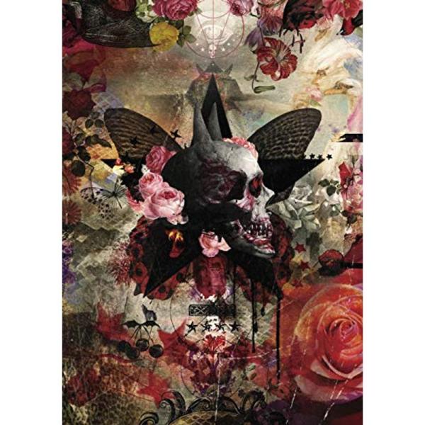 The reproduction 7th anniversary『FALLING』THE LIVE DVD: 商品のタイトル【中古品】(中古品)＝使用済み中古品です。画像の商品はサンプル画像です。実際に届く商品と異なりますのでご了承下さいま...