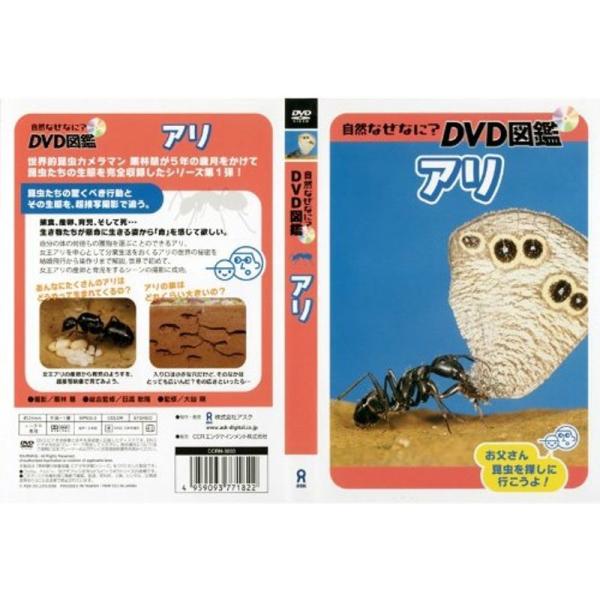 自然なぜなに?DVD図鑑 アリ レンタル落ち: 商品のタイトル【中古品】(中古品)＝使用済み中古品です。画像の商品はサンプル画像です。実際に届く商品と異なりますのでご了承下さいませ。※中古品のため、商品のコンディション、ケース、説明書等の付...