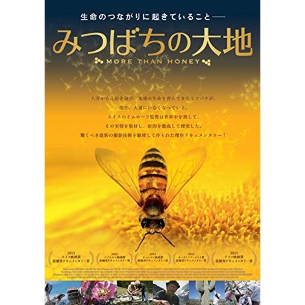 みつばちの大地 DVD: 商品のタイトル【中古品】(中古品)＝使用済み中古品です。画像の商品はサンプル画像です。実際に届く商品と異なりますのでご了承下さいませ。※中古品のため、商品のコンディション、ケース、説明書等の付属品の有無については入...