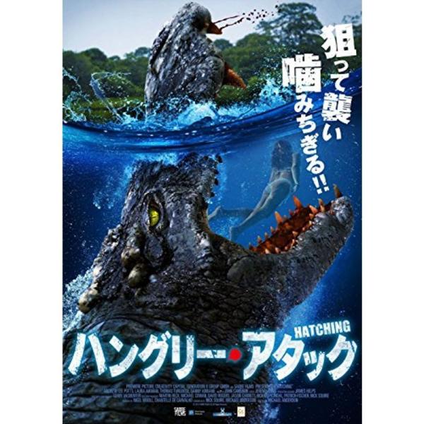 ハングリー・アタック DVD: 商品のタイトル【中古品】(中古品)＝使用済み中古品です。画像の商品はサンプル画像です。実際に届く商品と異なりますのでご了承下さいませ。※中古品のため、商品のコンディション、ケース、説明書等の付属品の有無につい...