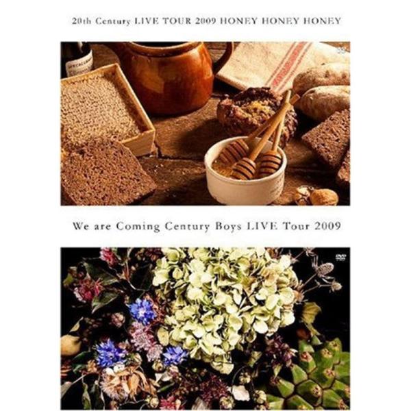 初回生産限定特典DVD付4枚組20th Century LIVE TOUR 2009 HONEY HONEY HONEY/We ar: 商品のタイトル【中古品】(中古品)＝使用済み中古品です。画像の商品はサンプル画像です。実際に届く商品と異...