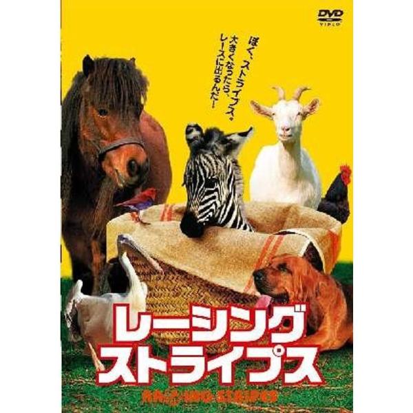 レーシング・ストライプス DVD: 商品のタイトル【中古品】(中古品)＝使用済み中古品です。画像の商品はサンプル画像です。実際に届く商品と異なりますのでご了承下さいませ。※中古品のため、商品のコンディション、ケース、説明書等の付属品の有無に...