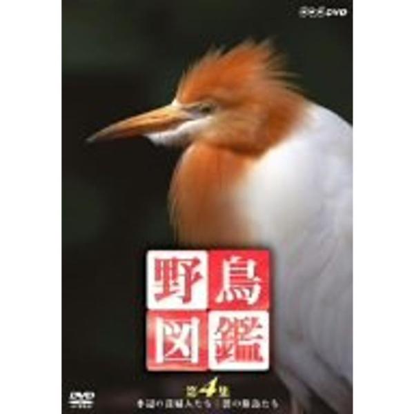 野鳥図鑑 第4集 DVD: 商品のタイトル【中古品】(中古品)＝使用済み中古品です。画像の商品はサンプル画像です。実際に届く商品と異なりますのでご了承下さいませ。※中古品のため、商品のコンディション、ケース、説明書等の付属品の有無については...