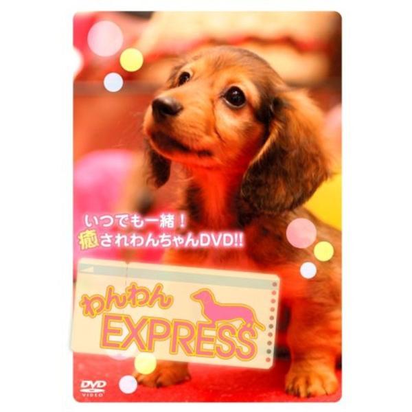わんわんEXPRESS DVD: 商品のタイトル【中古品】(中古品)＝使用済み中古品です。画像の商品はサンプル画像です。実際に届く商品と異なりますのでご了承下さいませ。※中古品のため、商品のコンディション、ケース、説明書等の付属品の有無につ...