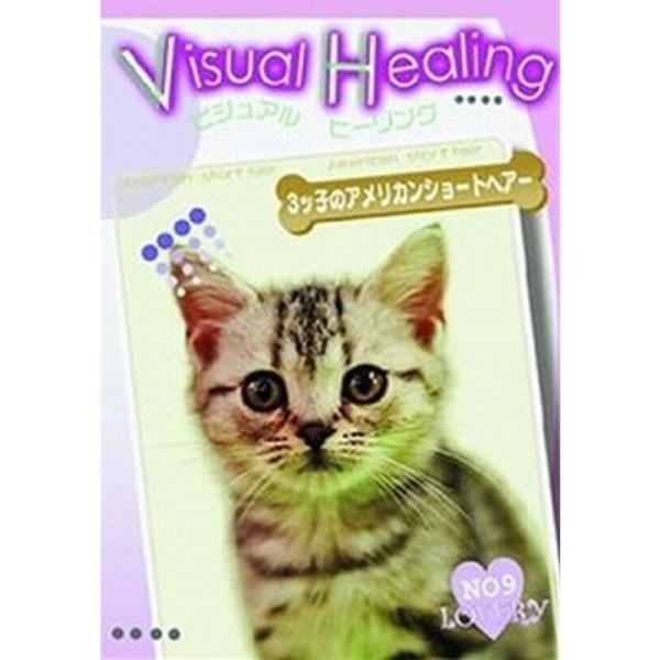 VisualHealing 9 3ッ子のアメリカンショートヘア レンタル落ち DVD: 商品のタイトル【中古品】(中古品)＝使用済み中古品です。画像の商品はサンプル画像です。実際に届く商品と異なりますのでご了承下さいませ。※中古品のため、商...