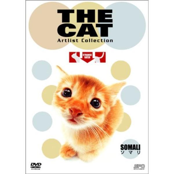 THE CAT ~ソマリ~ DVD: 商品のタイトル【中古品】(中古品)＝使用済み中古品です。画像の商品はサンプル画像です。実際に届く商品と異なりますのでご了承下さいませ。※中古品のため、商品のコンディション、ケース、説明書等の付属品の有無...
