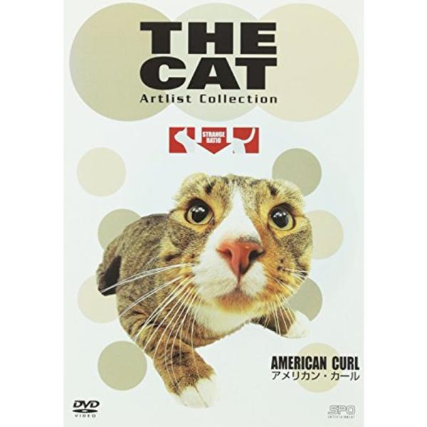THE CAT ~アメリカン・カール~ DVD: 商品のタイトル【中古品】(中古品)＝使用済み中古品です。画像の商品はサンプル画像です。実際に届く商品と異なりますのでご了承下さいませ。※中古品のため、商品のコンディション、ケース、説明書等の...