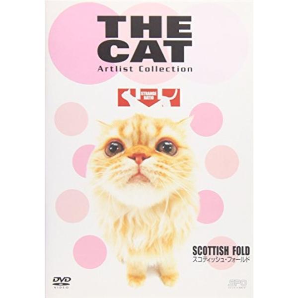 THE CAT ~スコティッシュ・フォールド~ DVD: 商品のタイトル【中古品】(中古品)＝使用済み中古品です。画像の商品はサンプル画像です。実際に届く商品と異なりますのでご了承下さいませ。※中古品のため、商品のコンディション、ケース、説...
