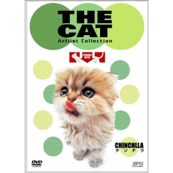 THE CAT ~チンチラ~ DVD: 商品のタイトル【中古品】(中古品)＝使用済み中古品です。画像の商品はサンプル画像です。実際に届く商品と異なりますのでご了承下さいませ。※中古品のため、商品のコンディション、ケース、説明書等の付属品の有...