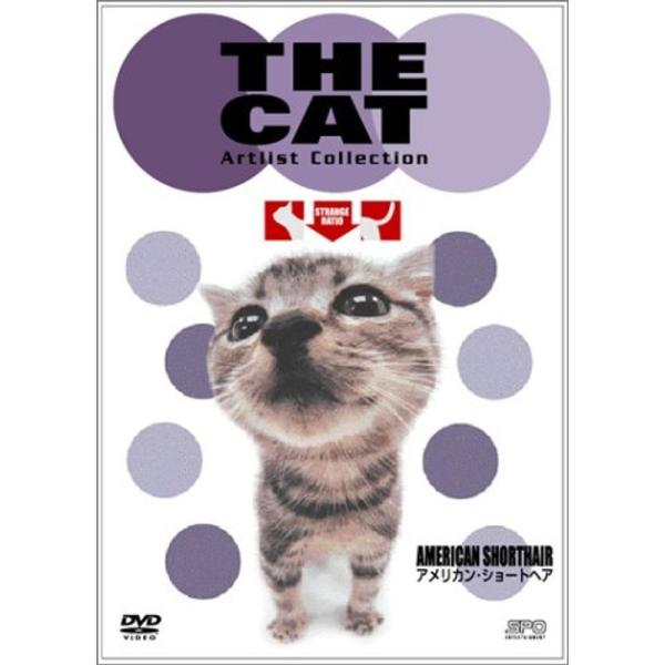 THE CAT ~アメリカン・ショートヘア~ DVD: 商品のタイトル【中古品】(中古品)＝使用済み中古品です。画像の商品はサンプル画像です。実際に届く商品と異なりますのでご了承下さいませ。※中古品のため、商品のコンディション、ケース、説明...