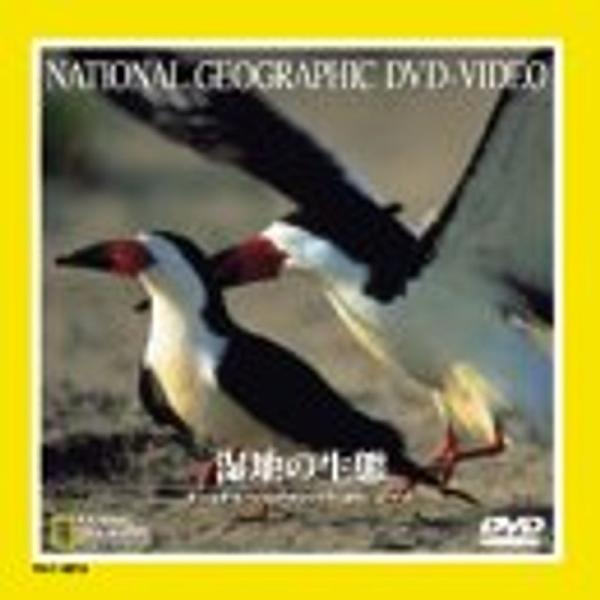湿地の生態 DVD: 商品のタイトル【中古品】(中古品)＝使用済み中古品です。画像の商品はサンプル画像です。実際に届く商品と異なりますのでご了承下さいませ。※中古品のため、商品のコンディション、ケース、説明書等の付属品の有無については入荷の...