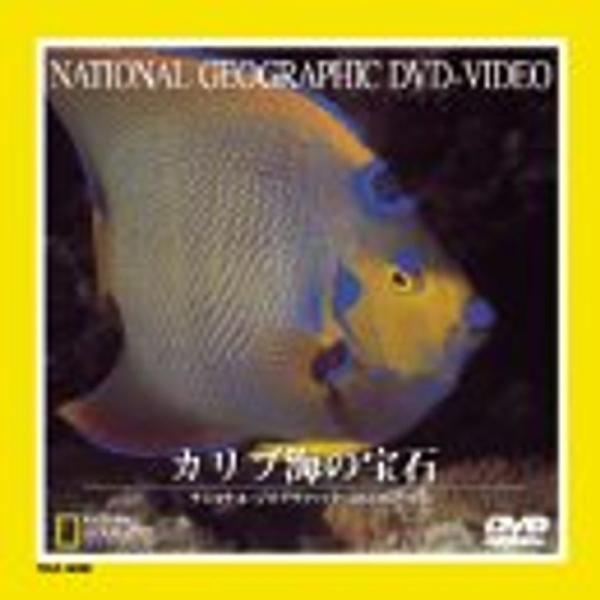 カリブ海の宝石 DVD: 商品のタイトル【中古品】(中古品)＝使用済み中古品です。画像の商品はサンプル画像です。実際に届く商品と異なりますのでご了承下さいませ。※中古品のため、商品のコンディション、ケース、説明書等の付属品の有無については入...
