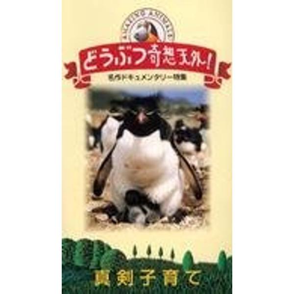どうぶつ奇想天外 真剣子育て VHS: 商品のタイトル【中古品】(中古品)＝使用済み中古品です。画像の商品はサンプル画像です。実際に届く商品と異なりますのでご了承下さいませ。※中古品のため、商品のコンディション、ケース、説明書等の付属品の有...