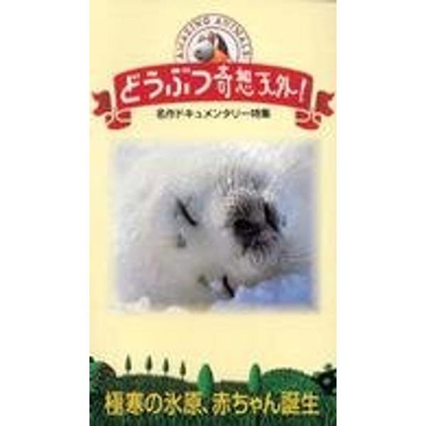 どうぶつ奇想天外 極寒の氷原、赤ちゃん誕生 VHS: 商品のタイトル【中古品】(中古品)＝使用済み中古品です。画像の商品はサンプル画像です。実際に届く商品と異なりますのでご了承下さいませ。※中古品のため、商品のコンディション、ケース、説明書...