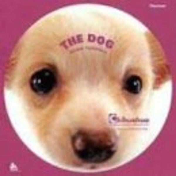 THE DOG チワワ DVD: 商品のタイトル【中古品】(中古品)＝使用済み中古品です。画像の商品はサンプル画像です。実際に届く商品と異なりますのでご了承下さいませ。※中古品のため、商品のコンディション、ケース、説明書等の付属品の有無につ...