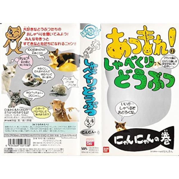 あつまれ しゃべくりどうぶつ/ニャンニャンの巻 VHS: 商品のタイトル【中古品】(中古品)＝使用済み中古品です。画像の商品はサンプル画像です。実際に届く商品と異なりますのでご了承下さいませ。※中古品のため、商品のコンディション、ケース、説...