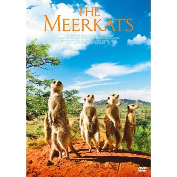 ミーアキャット スペシャル・エディション DVD: 商品のタイトル【中古品】(中古品)＝使用済み中古品です。画像の商品はサンプル画像です。実際に届く商品と異なりますのでご了承下さいませ。※中古品のため、商品のコンディション、ケース、説明書等...