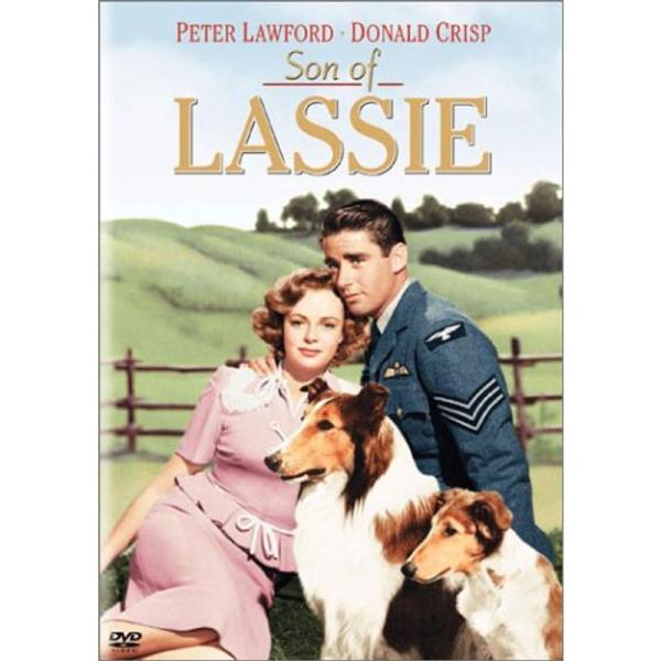 名犬ラッシー / ラッシーの息子 DVD: 商品のタイトル【中古品】(中古品)＝使用済み中古品です。画像の商品はサンプル画像です。実際に届く商品と異なりますのでご了承下さいませ。※中古品のため、商品のコンディション、ケース、説明書等の付属品...