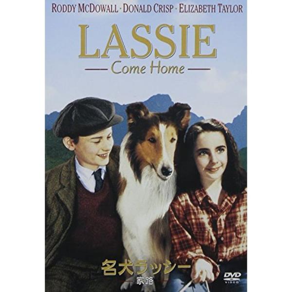 名犬ラッシー / 家路 DVD: 商品のタイトル【中古品】(中古品)＝使用済み中古品です。画像の商品はサンプル画像です。実際に届く商品と異なりますのでご了承下さいませ。※中古品のため、商品のコンディション、ケース、説明書等の付属品の有無につ...