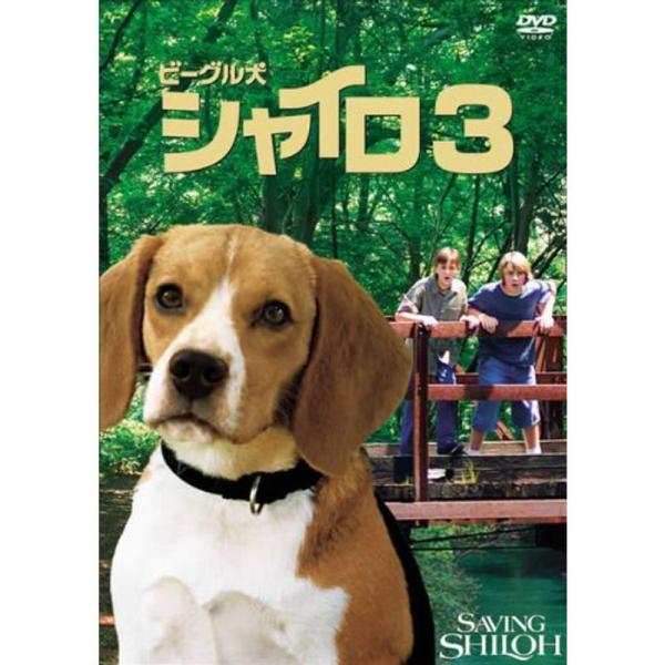 ビーグル犬 シャイロ3 -最終章- 特別版 DVD: 商品のタイトル【中古品】(中古品)＝使用済み中古品です。画像の商品はサンプル画像です。実際に届く商品と異なりますのでご了承下さいませ。※中古品のため、商品のコンディション、ケース、説明書...