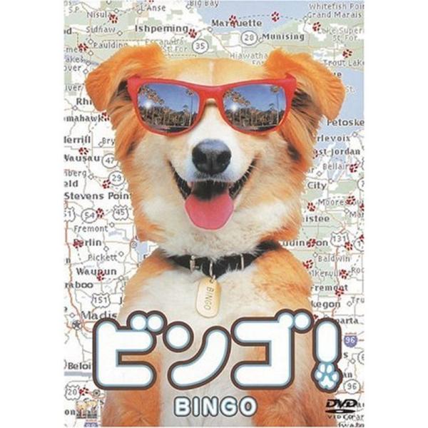 ビンゴ DVD: 商品のタイトル【中古品】(中古品)＝使用済み中古品です。画像の商品はサンプル画像です。実際に届く商品と異なりますのでご了承下さいませ。※中古品のため、商品のコンディション、ケース、説明書等の付属品の有無については入荷の度に...