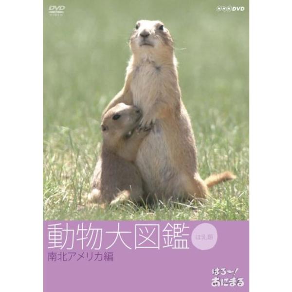 はろ~あにまる 動物大図鑑 5 南北アメリカ編 DVD: 商品のタイトル【中古品】(中古品)＝使用済み中古品です。画像の商品はサンプル画像です。実際に届く商品と異なりますのでご了承下さいませ。※中古品のため、商品のコンディション、ケース、説...