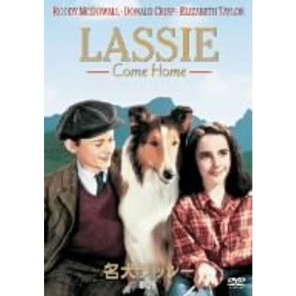名犬ラッシー/家路 DVD: 商品のタイトル【中古品】(中古品)＝使用済み中古品です。画像の商品はサンプル画像です。実際に届く商品と異なりますのでご了承下さいませ。※中古品のため、商品のコンディション、ケース、説明書等の付属品の有無について...