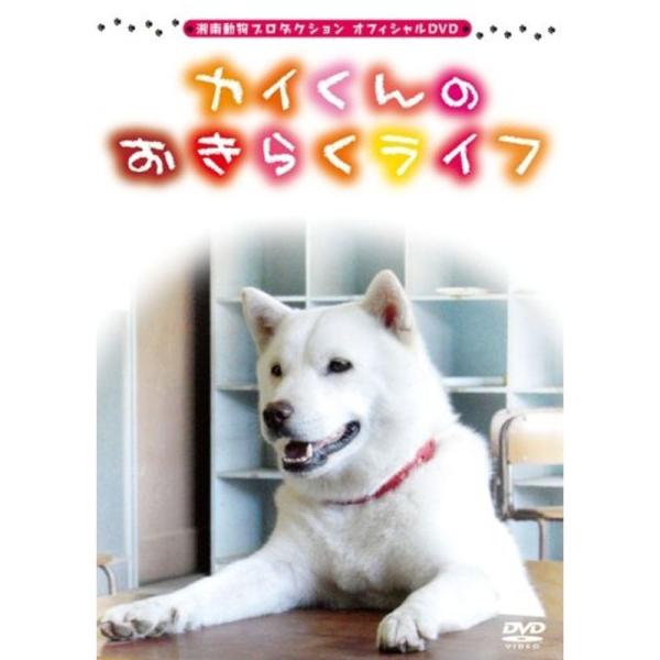 湘南動物プロダクション オフィシャルDVD カイくんのおきらくライフ: 商品のタイトル【中古品】(中古品)＝使用済み中古品です。画像の商品はサンプル画像です。実際に届く商品と異なりますのでご了承下さいませ。※中古品のため、商品のコンディショ...