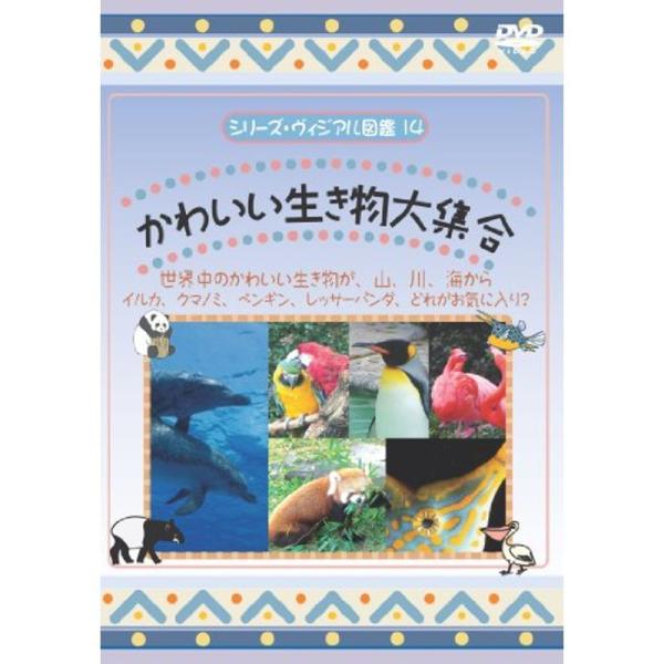 かわいい生き物大集合 DVD: 商品のタイトル【中古品】(中古品)＝使用済み中古品です。画像の商品はサンプル画像です。実際に届く商品と異なりますのでご了承下さいませ。※中古品のため、商品のコンディション、ケース、説明書等の付属品の有無につい...