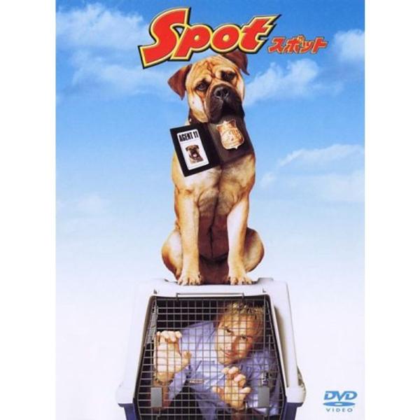 スポット DVD: 商品のタイトル【中古品】(中古品)＝使用済み中古品です。画像の商品はサンプル画像です。実際に届く商品と異なりますのでご了承下さいませ。※中古品のため、商品のコンディション、ケース、説明書等の付属品の有無については入荷の度...
