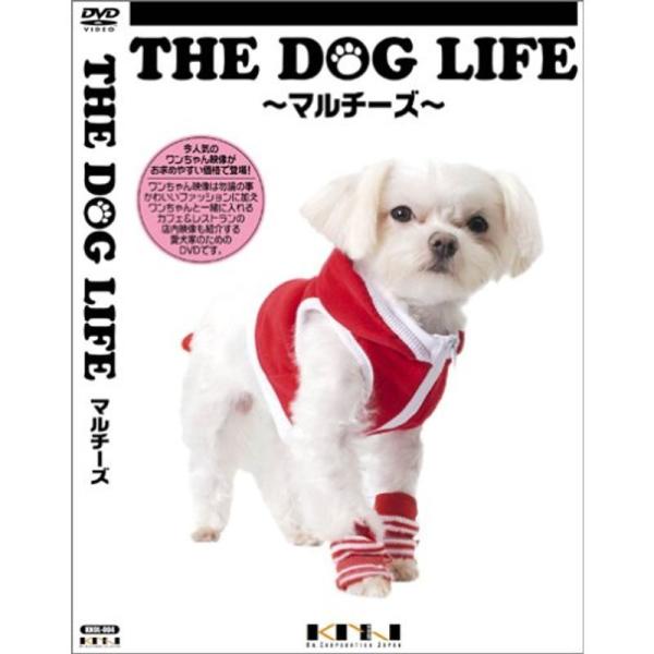 THE DOG LIFE マルチーズ DVD: 商品のタイトル【中古品】(中古品)＝使用済み中古品です。画像の商品はサンプル画像です。実際に届く商品と異なりますのでご了承下さいませ。※中古品のため、商品のコンディション、ケース、説明書等の付...