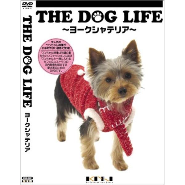 THE DOG LIFE ヨークシャテリア DVD: 商品のタイトル【中古品】(中古品)＝使用済み中古品です。画像の商品はサンプル画像です。実際に届く商品と異なりますのでご了承下さいませ。※中古品のため、商品のコンディション、ケース、説明書...