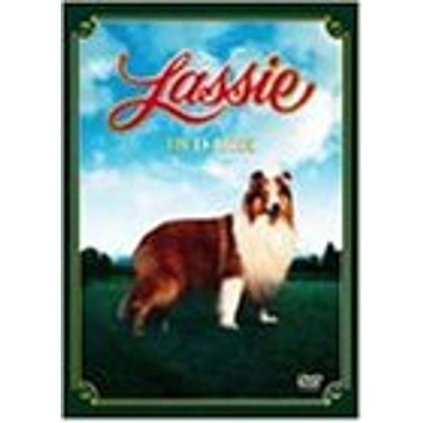 世界名作劇場シリーズ 名犬ラッシー DVD-BOX: 商品のタイトル【中古品】(中古品)＝使用済み中古品です。画像の商品はサンプル画像です。実際に届く商品と異なりますのでご了承下さいませ。※中古品のため、商品のコンディション、ケース、説明書...