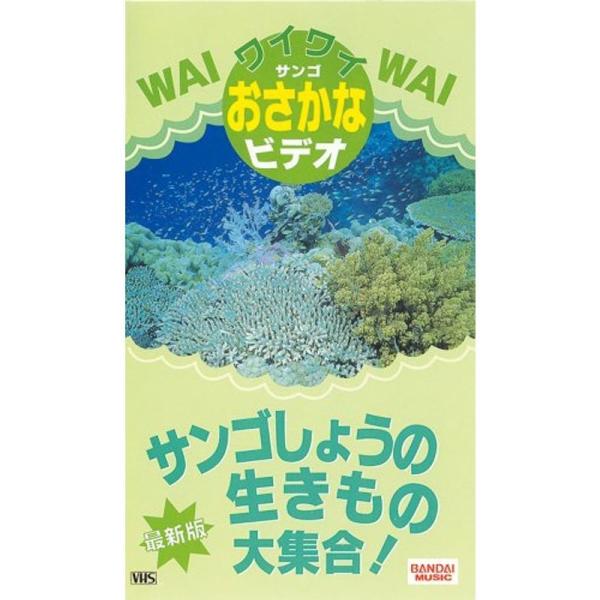 ワイワイおさかなビデオ いそのおさかな大集合 VHS: 商品のタイトル【中古品】(中古品)＝使用済み中古品です。画像の商品はサンプル画像です。実際に届く商品と異なりますのでご了承下さいませ。※中古品のため、商品のコンディション、ケース、説明...