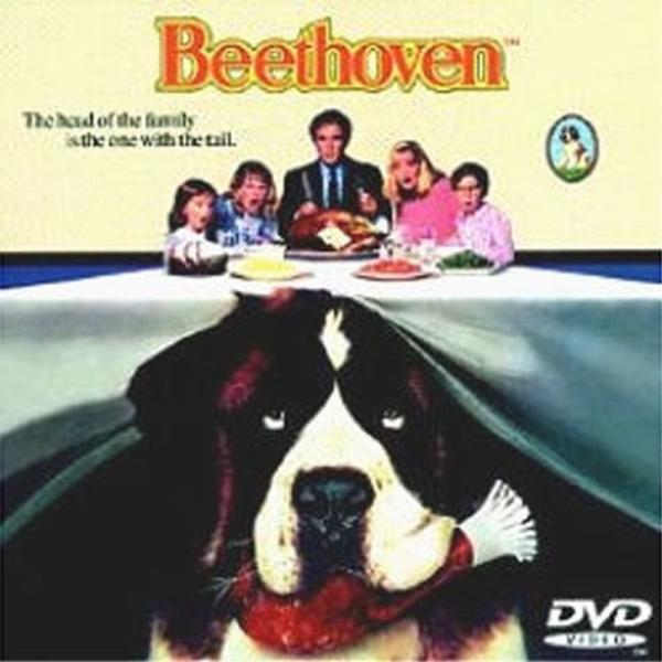 ベートーベン DVD: 商品のタイトル【中古品】(中古品)＝使用済み中古品です。画像の商品はサンプル画像です。実際に届く商品と異なりますのでご了承下さいませ。※中古品のため、商品のコンディション、ケース、説明書等の付属品の有無については入荷...